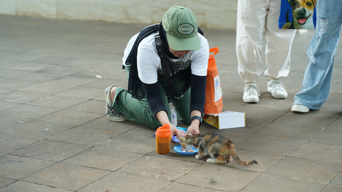 JIPS - Jakarta International Pet Show